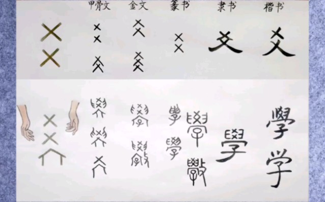 64.汉字演变：五五之“爻”，五六之“学”，皆为筮数-青青汉字-青青汉字-哔哩哔哩视频