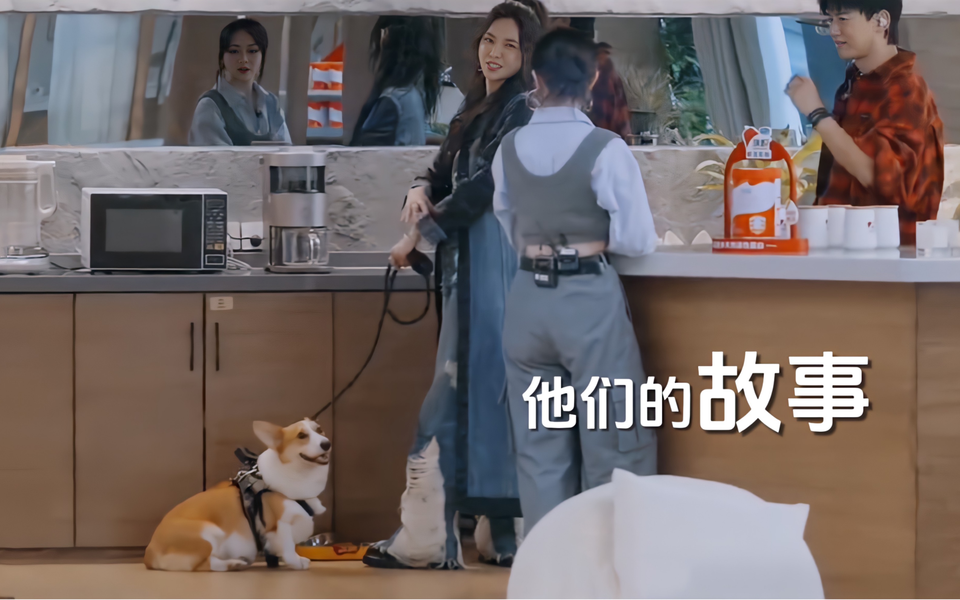 大型情感都市连续剧《邓紫棋与狗》之回家的诱惑！-Zelan_-Zelan_-哔哩哔哩视频