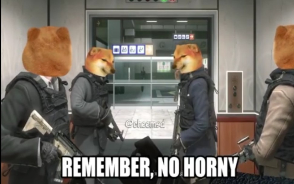 cheems特别行动队_哔哩哔哩_bilibili