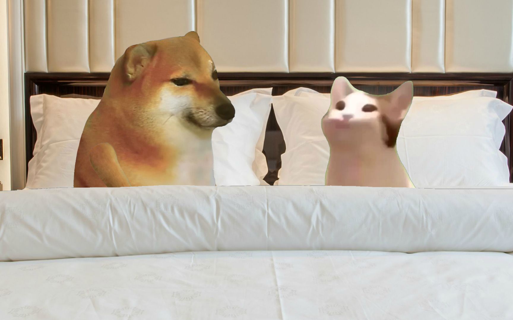 我就是要通过他的付出，才能看到他的真心-cheems小电影-cheems小电影-哔哩哔哩视频