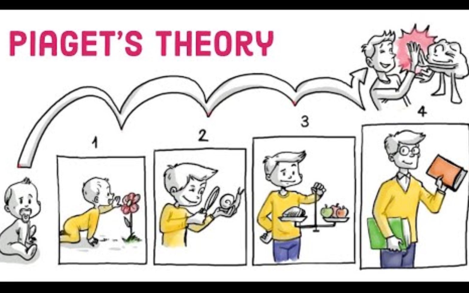 【Sprouts】皮亚杰的认知发展理论 Piaget's Theory Of Cognitive Development_哔哩哔哩 (゜-゜ ...
