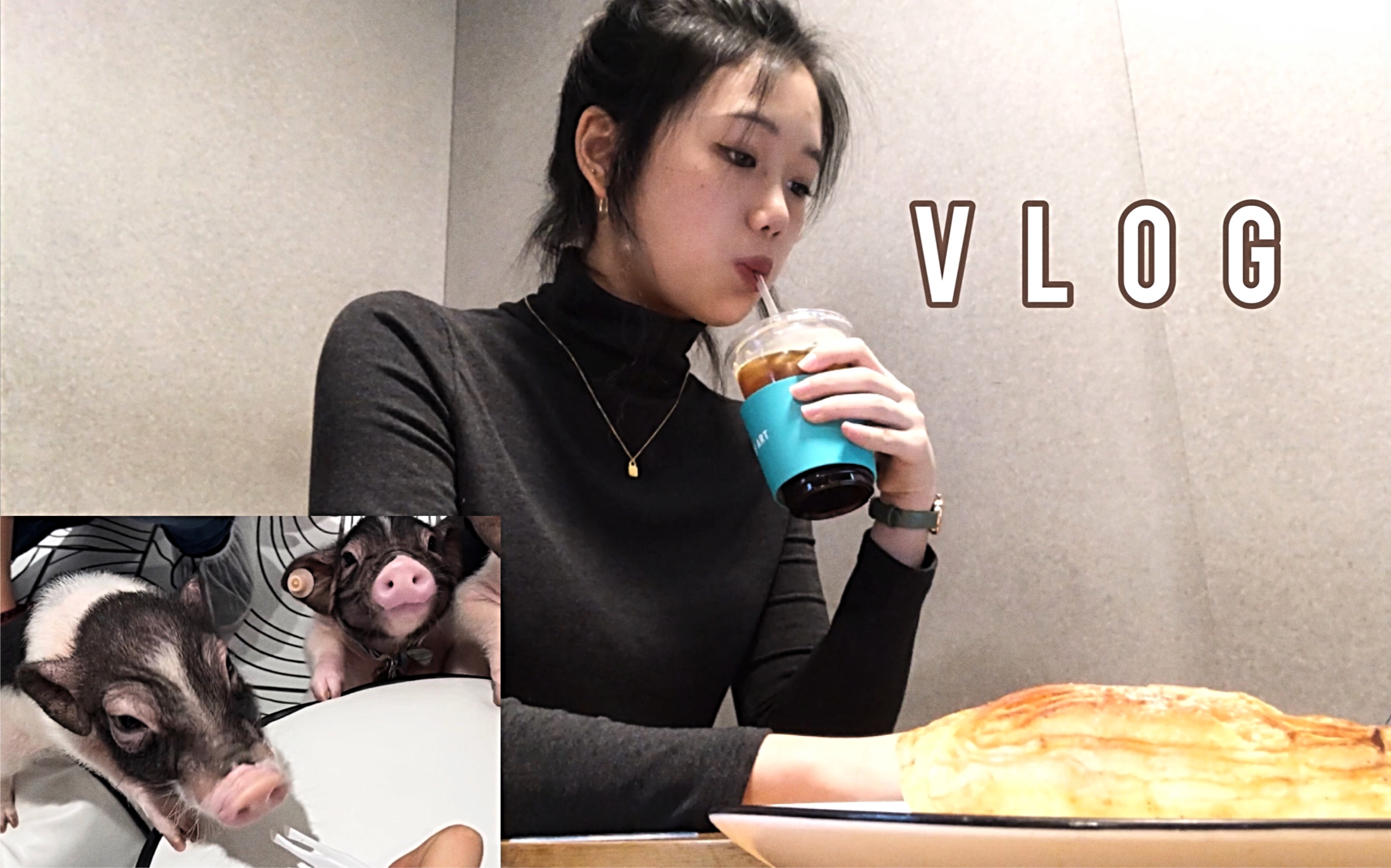 VLOG 周末生活-感恩节聚餐-撸猪 :)-jenn_xuu-jenn_xuu-哔哩哔哩视频