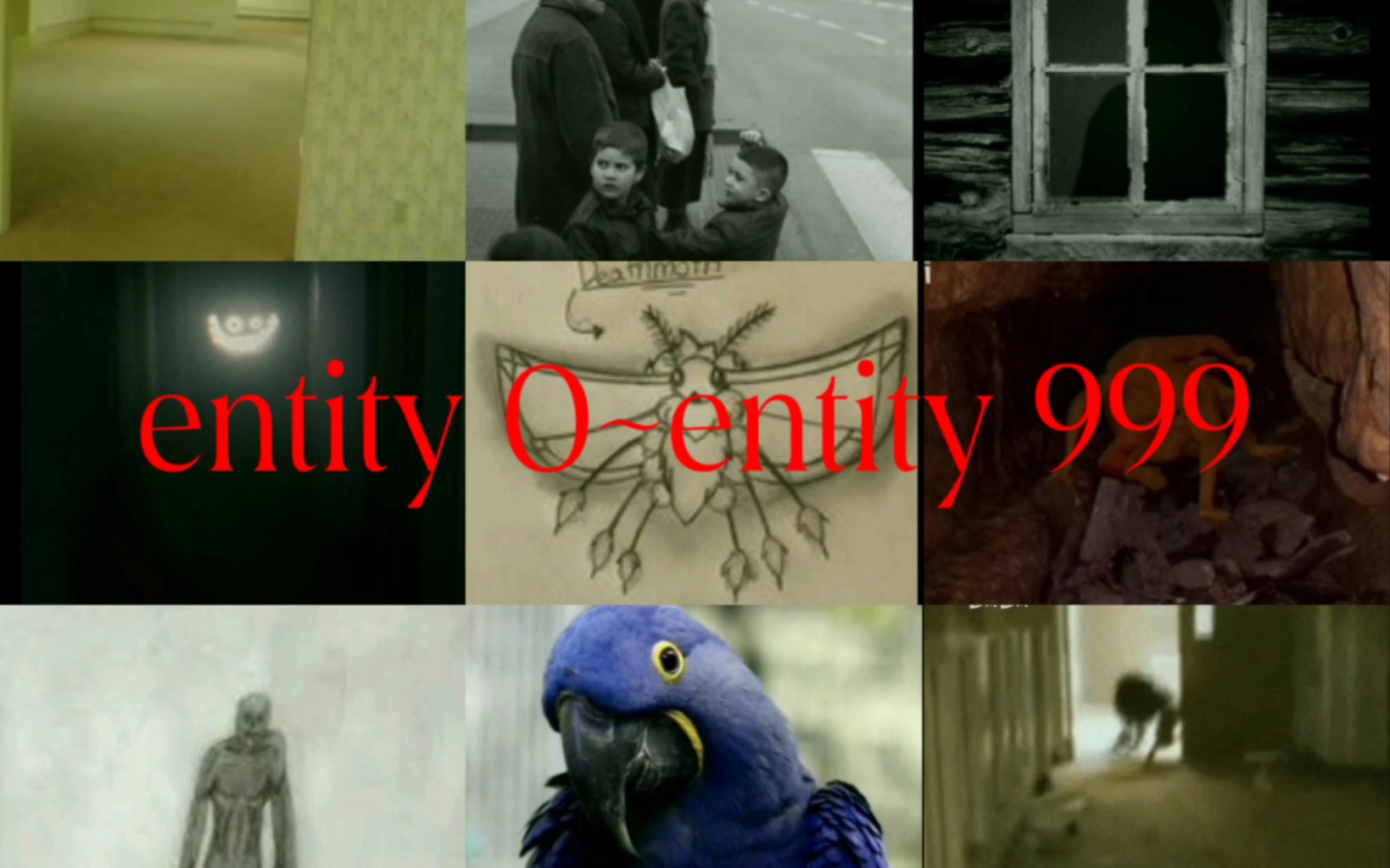 后室wiki目前最新版