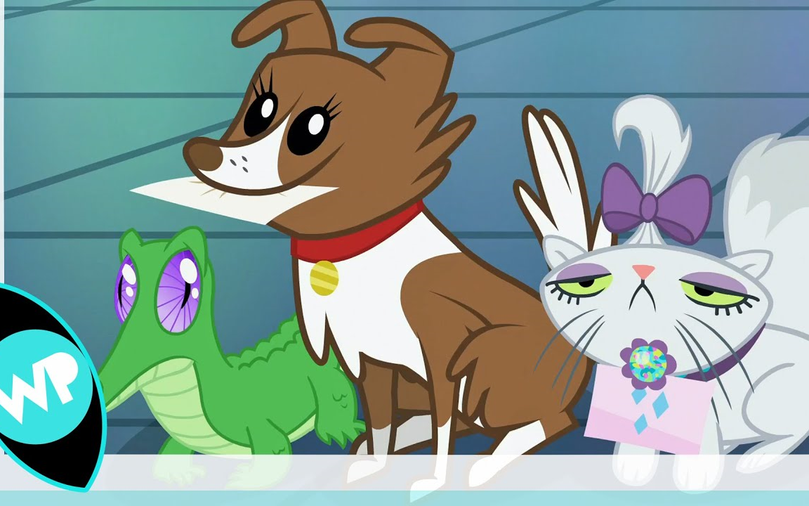 【熟肉/TOP10】彩虹小马中的十佳宠物_哔哩哔哩_bilibili