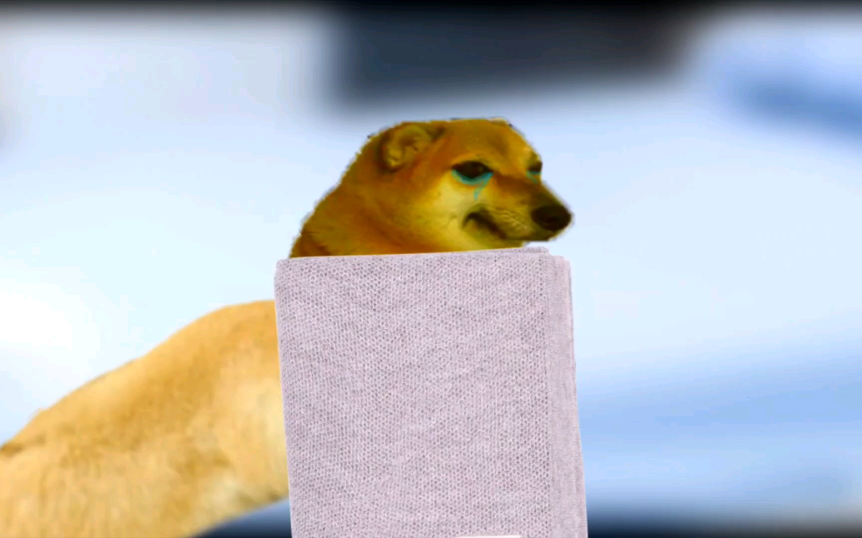 The Story Of Cheems_哔哩哔哩_bilibili