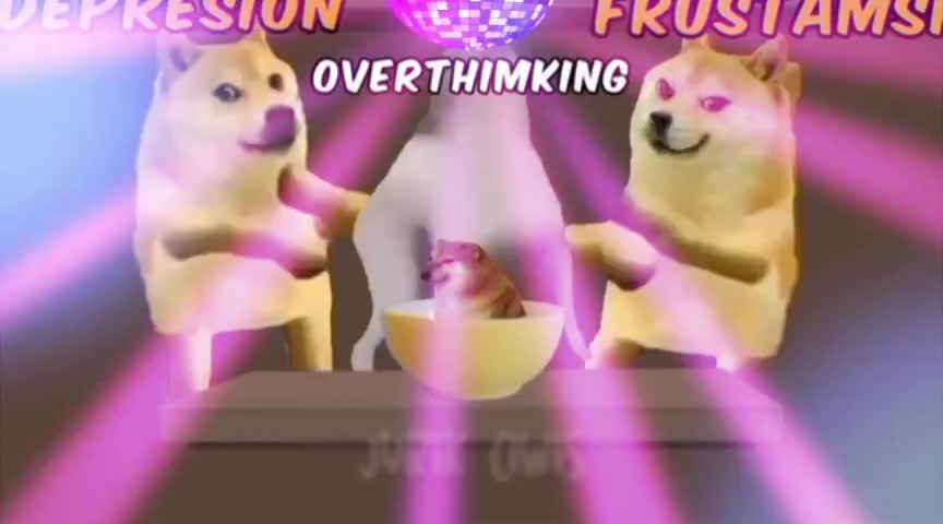 cheems舞厅_哔哩哔哩_bilibili