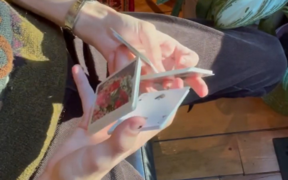 Ethan Pinto - 视频下载 Video Downloader