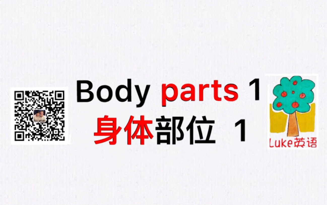 身体部位 单词卡片 1. Body parts_哔哩哔哩_bilibili