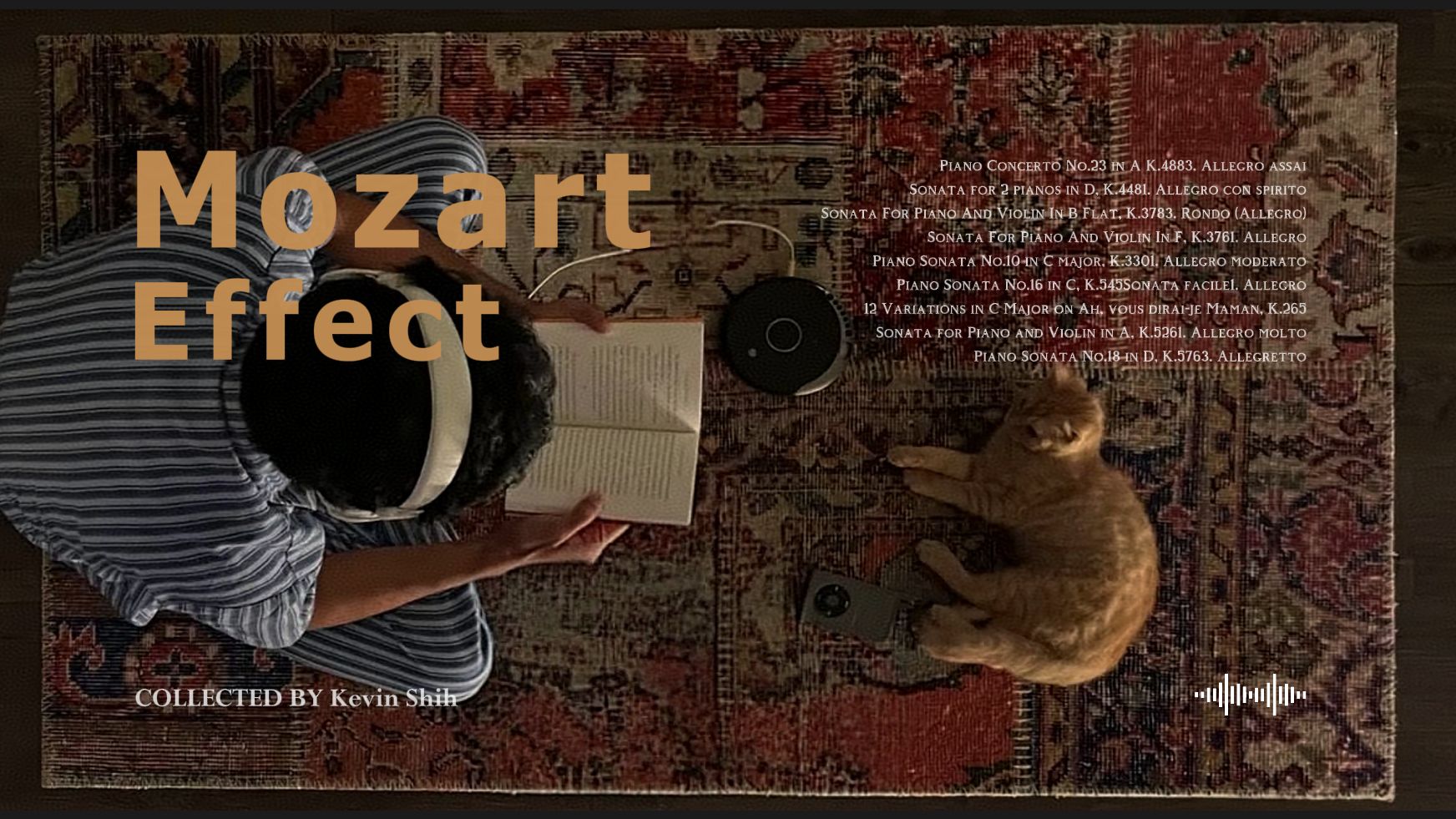 Playlist · 60分钟莫扎特效应 ♫ 古典旋律 Classical music | 古典音乐 | 私藏歌单 | 适合工作/学习/跳舞 ...