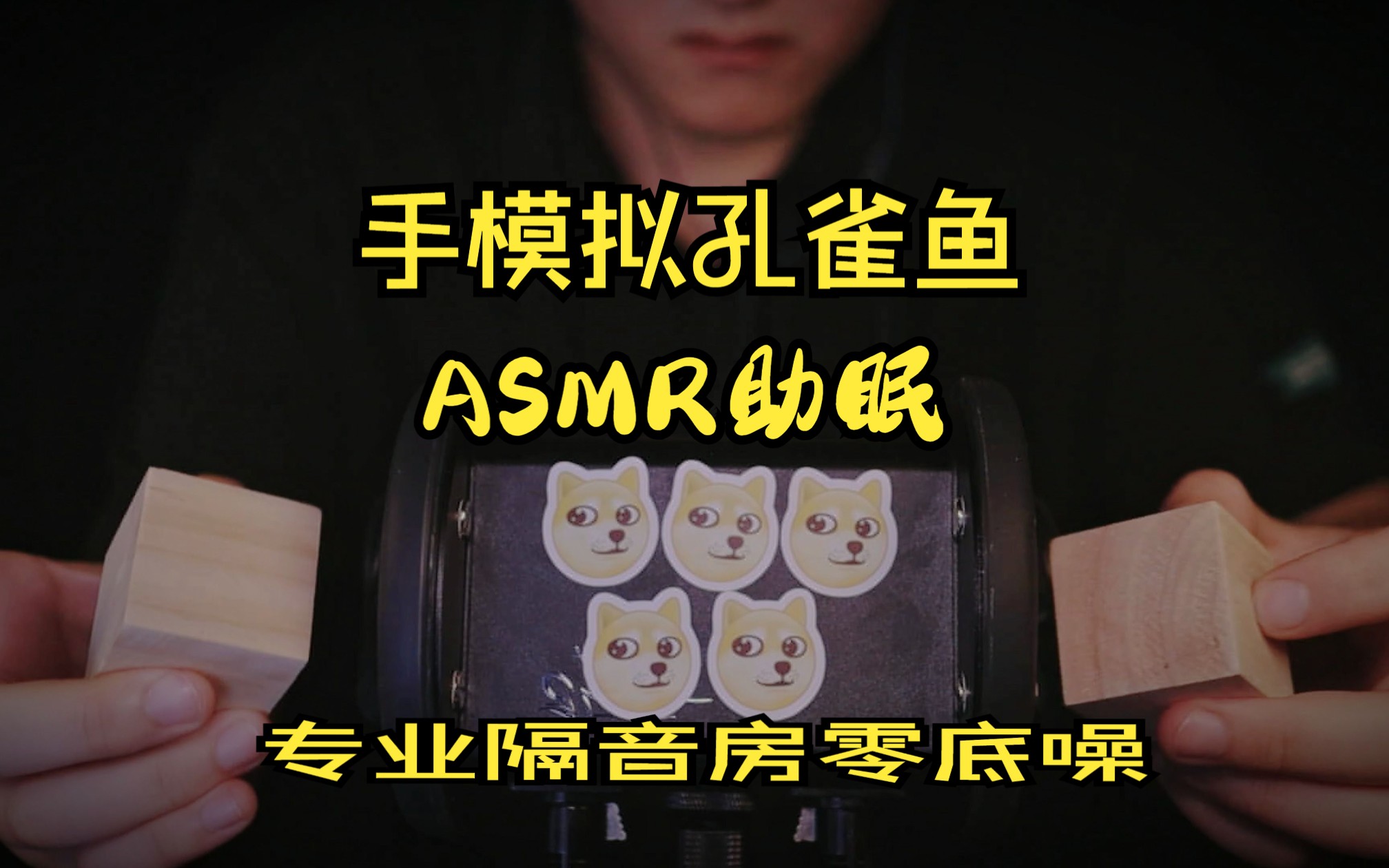 由浅入深的直升机 超爽！免疫向-ASWR收藏家-免疫专用区-哔哩哔哩视频