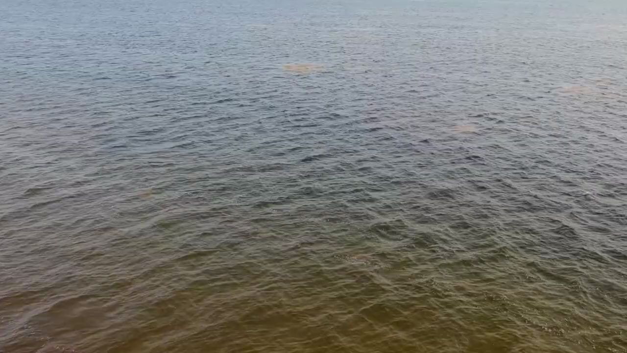 Force_Thirteen's_Music_Collection_2020_(Part_1)_哔哩哔哩_bilibili