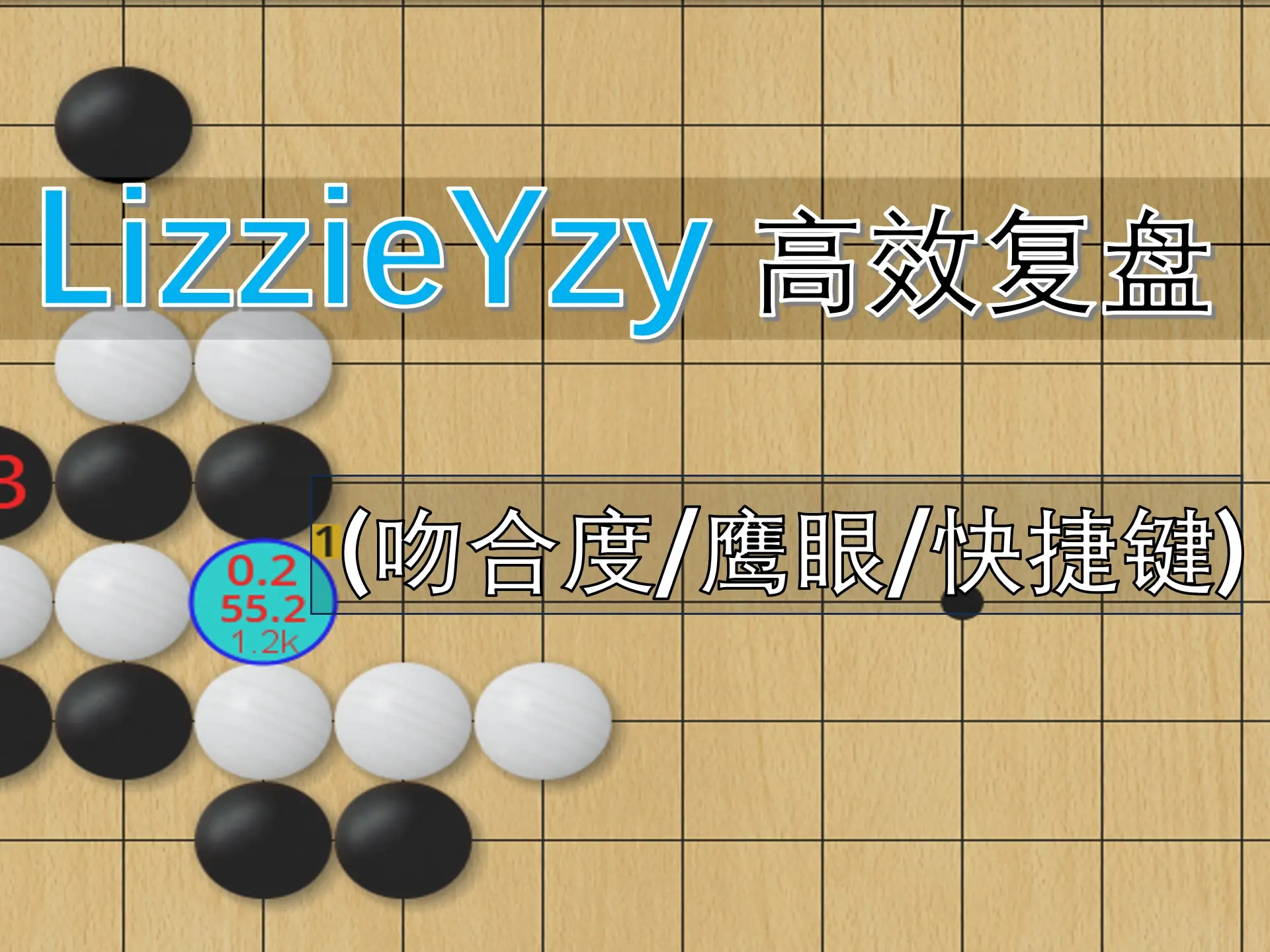LizzieYzy保姆级围棋复盘教程：从导入棋谱到看懂吻合度、鹰眼、胜率图，AI助你轻松涨棋！_哔哩哔哩_bilibili