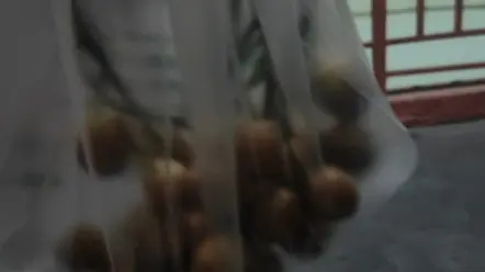 Jj_哔哩哔哩_bilibili