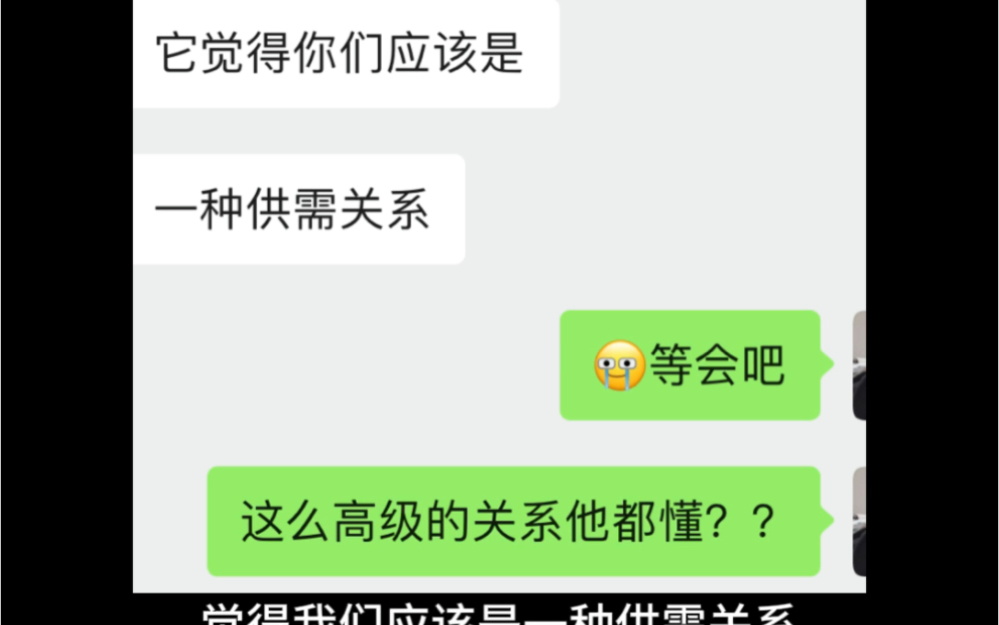 当宠物博主招了个助理3-Caesar-Cat-Caesar-Cat-哔哩哔哩视频