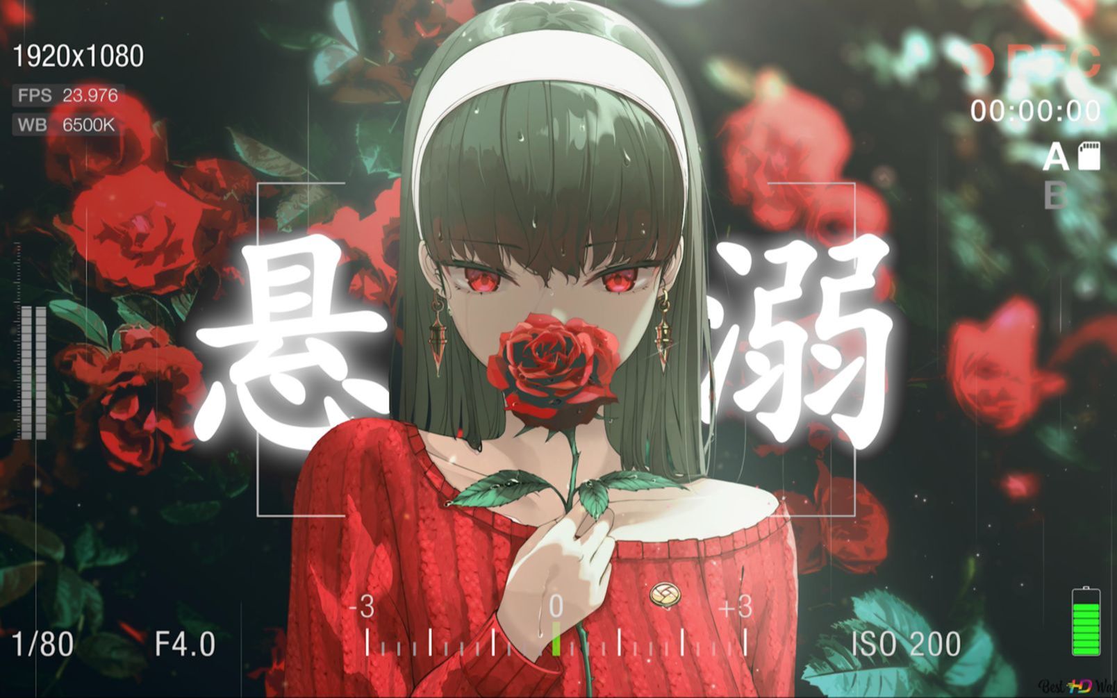 【MV】Lemon Tree(柠檬树)原版MV-瑶空心辰-循环-哔哩哔哩视频