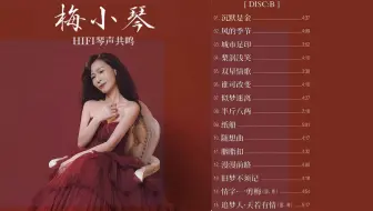 梅小琴 - 《HIFI琴聲共鳴 DISC：A》DSD [WAV+CUE]_哔哩哔哩_bilibili