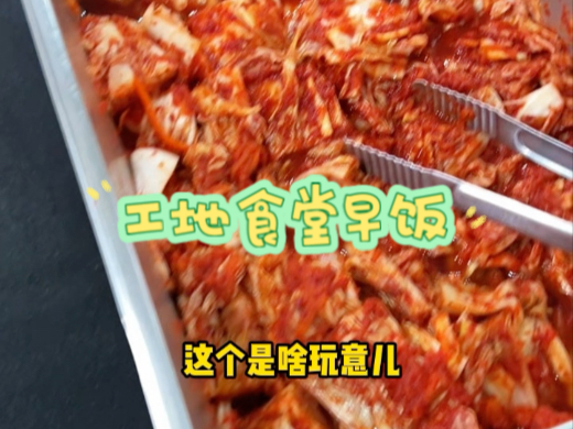 真实记录韩国工地打工 食堂25块钱标准的早餐都能吃点什么-哲哥牙不齐-哲哥牙不齐-哔哩哔哩视频