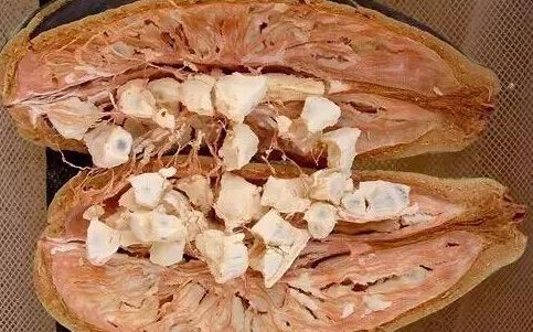 来自非洲的天然面包！试吃非洲猴面包果_哔哩哔哩_bilibili