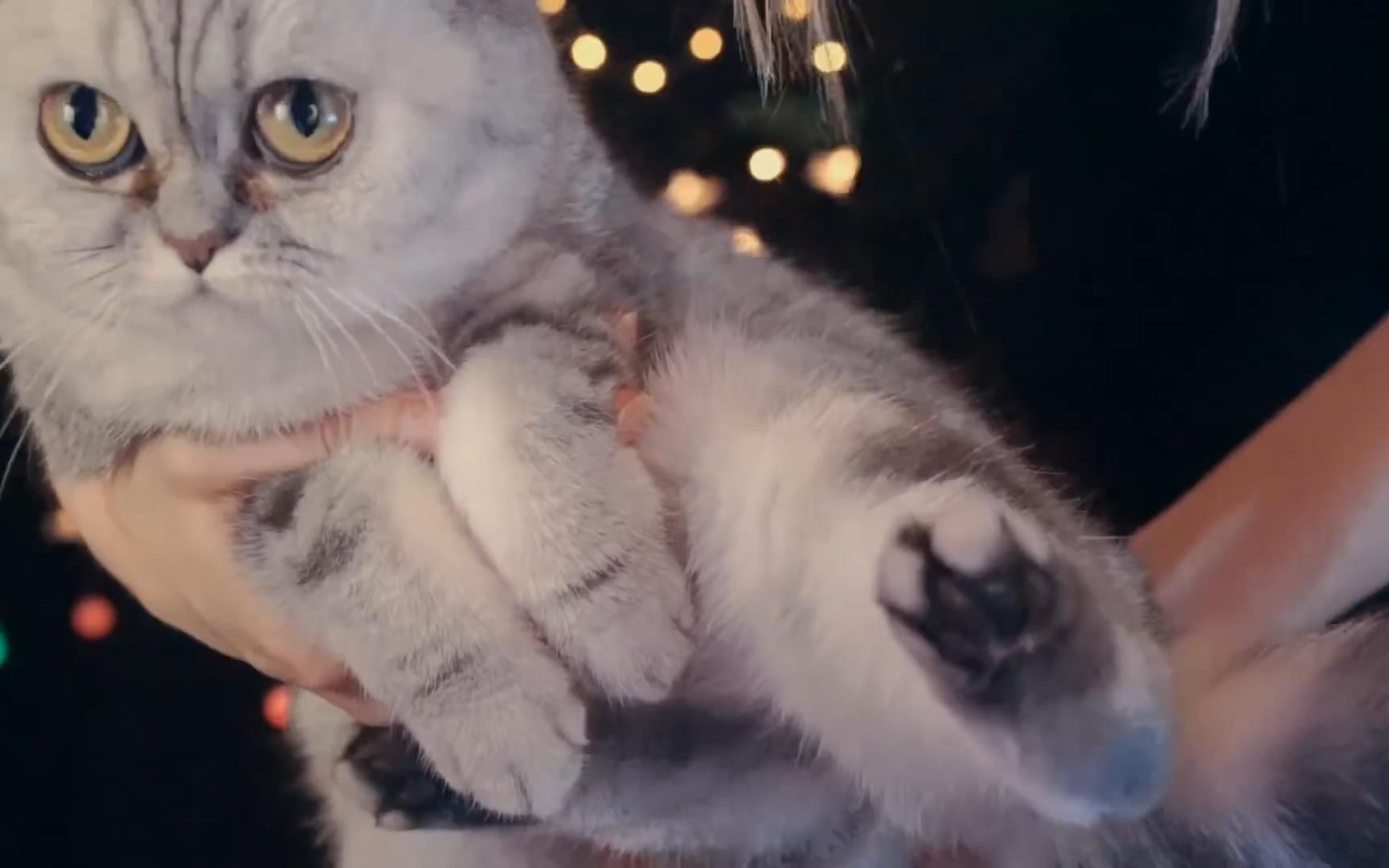 Pelagea小姐姐的暗黑催眠_1080p_哔哩哔哩_bilibili