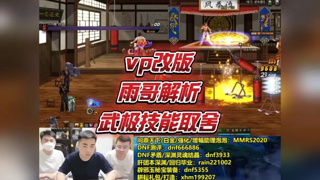 vp改版，雨哥解析武极技能取舍_哔哩哔哩bilibili_DNF