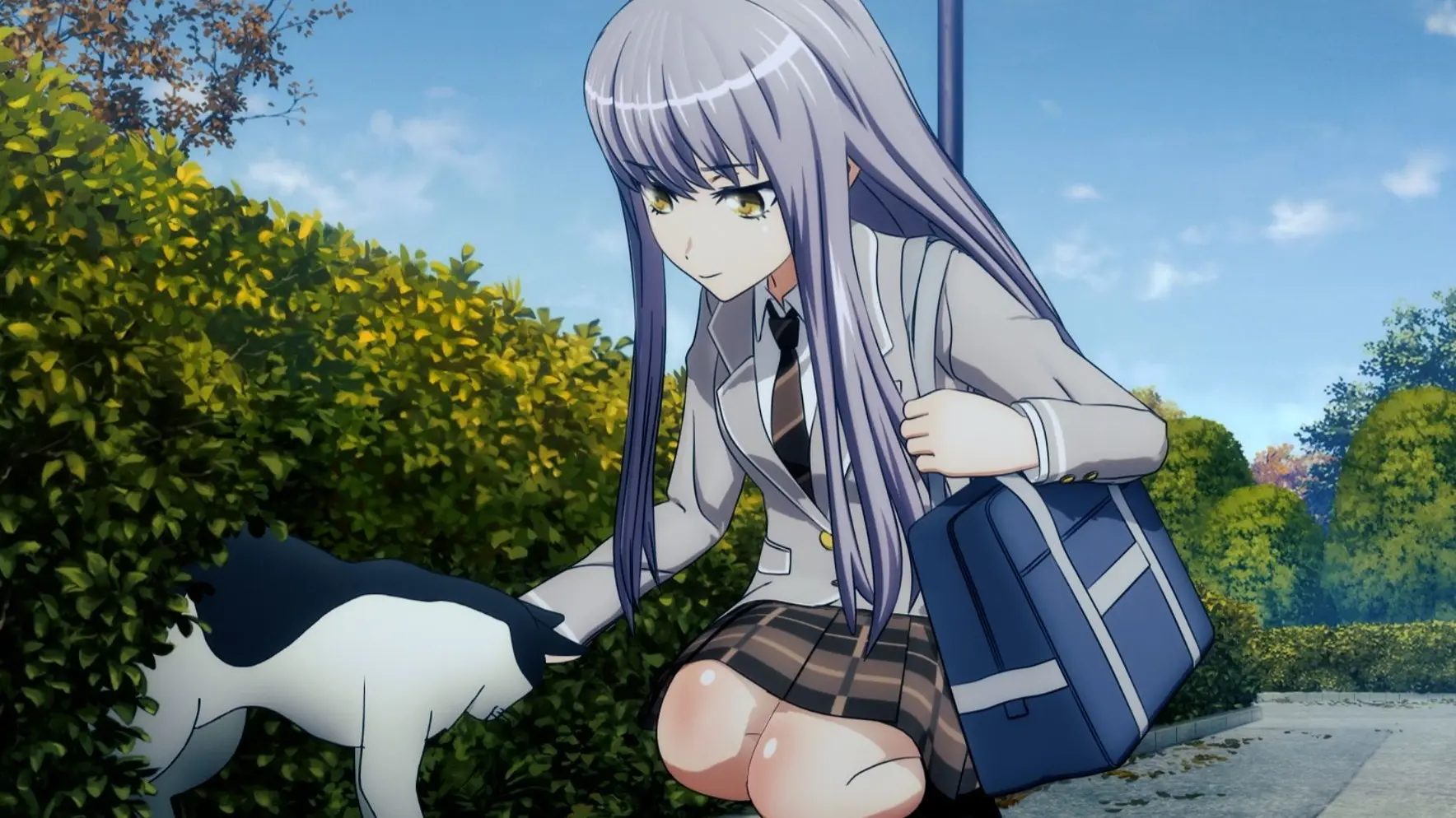 ykn教你撸猫☺_哔哩哔哩_bilibili