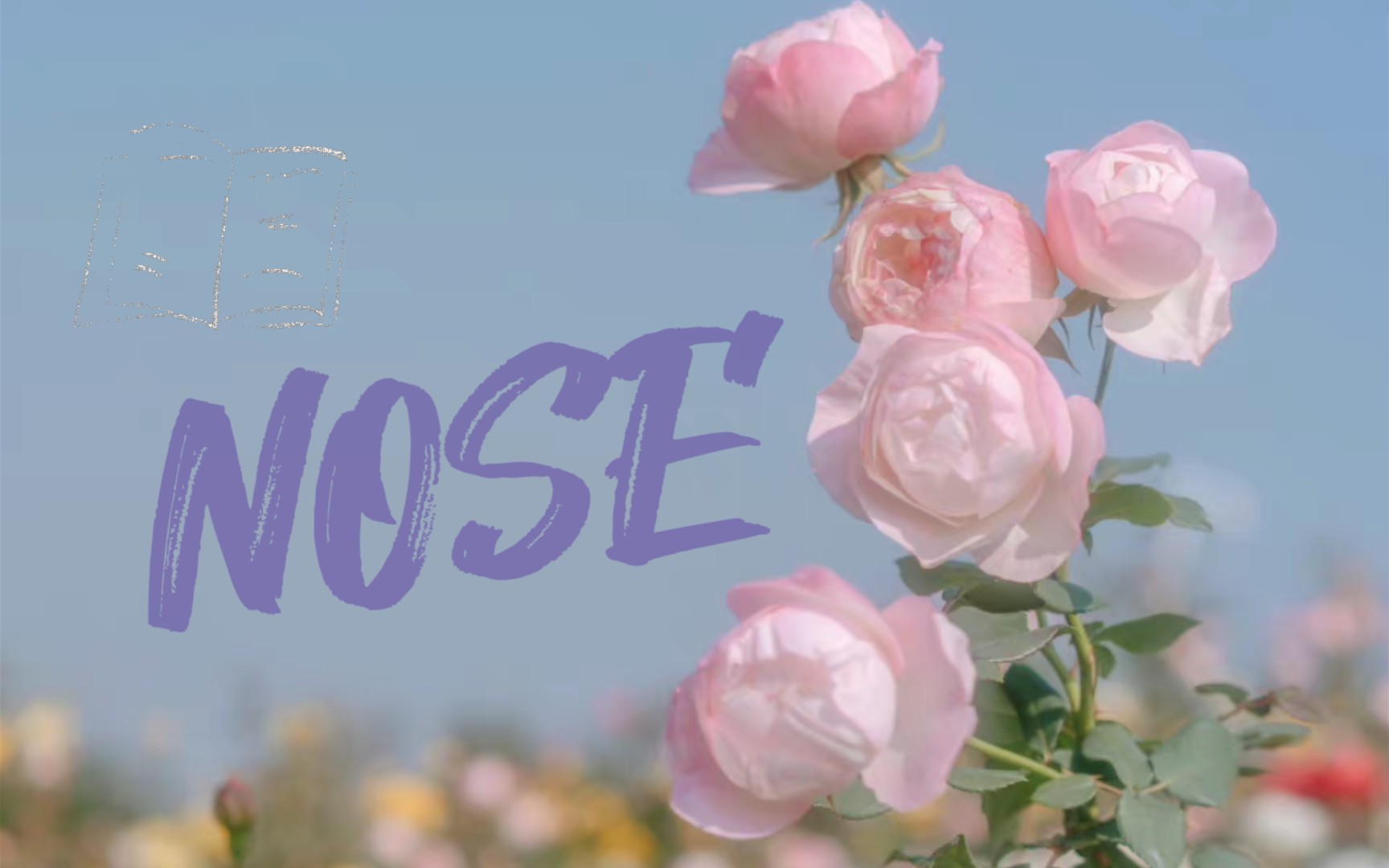 Nose（第三版）_哔哩哔哩_bilibili