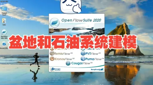OpenFlow Suite TemisFlow 用于盆地和石油系统建模FracaFlow 用于裂缝性油藏建模_哔哩哔哩_bilibili