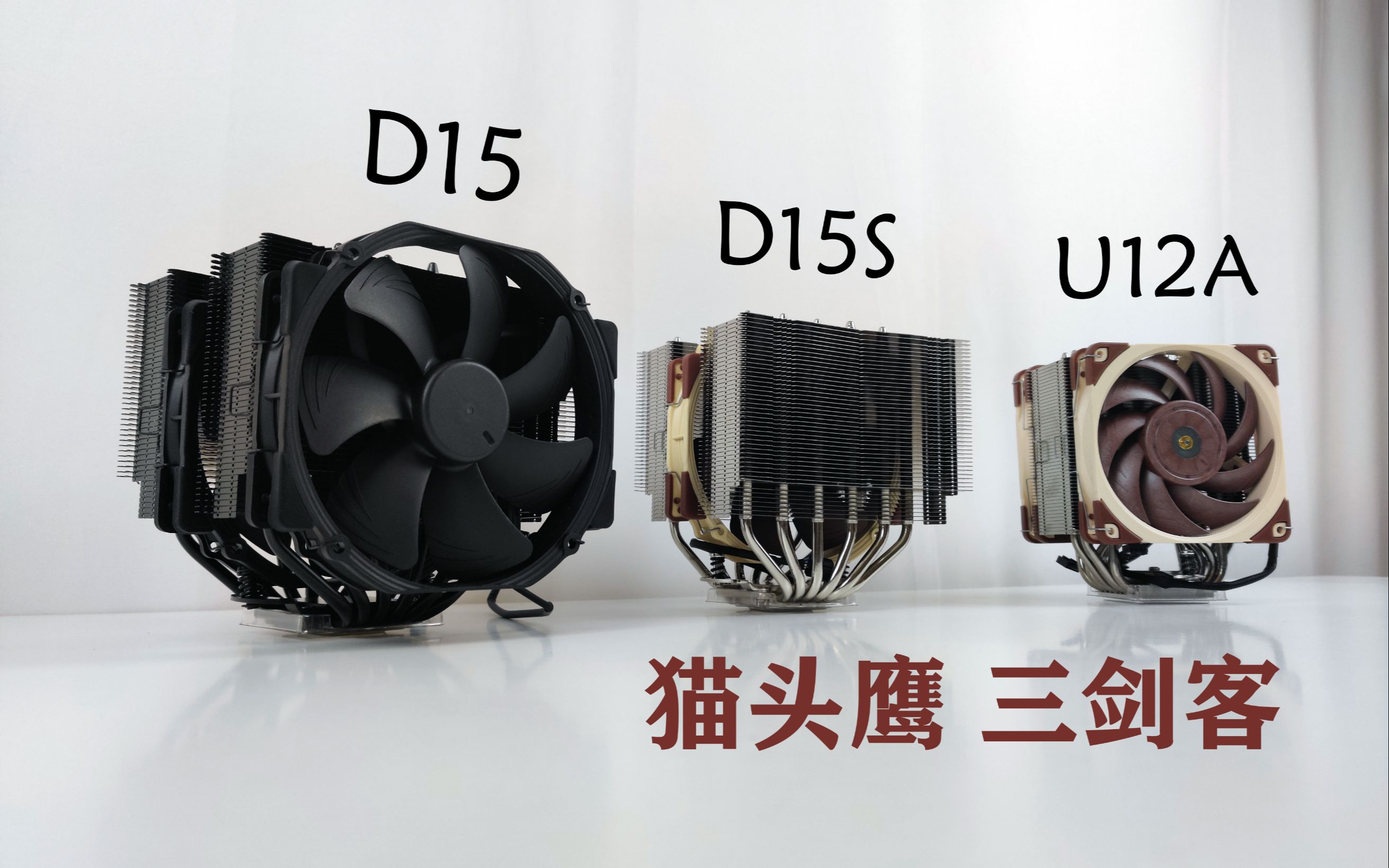 【枫 评】时代经典 散热标杆 猫头鹰三剑客 D15、D15S、U12A同台对比测试 - 视频下载 Video Downloader