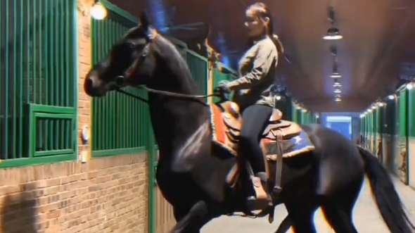 美女骑马起扬 - 视频下载 Video Downloader