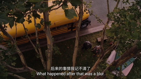 Sycamore Tree Flipped