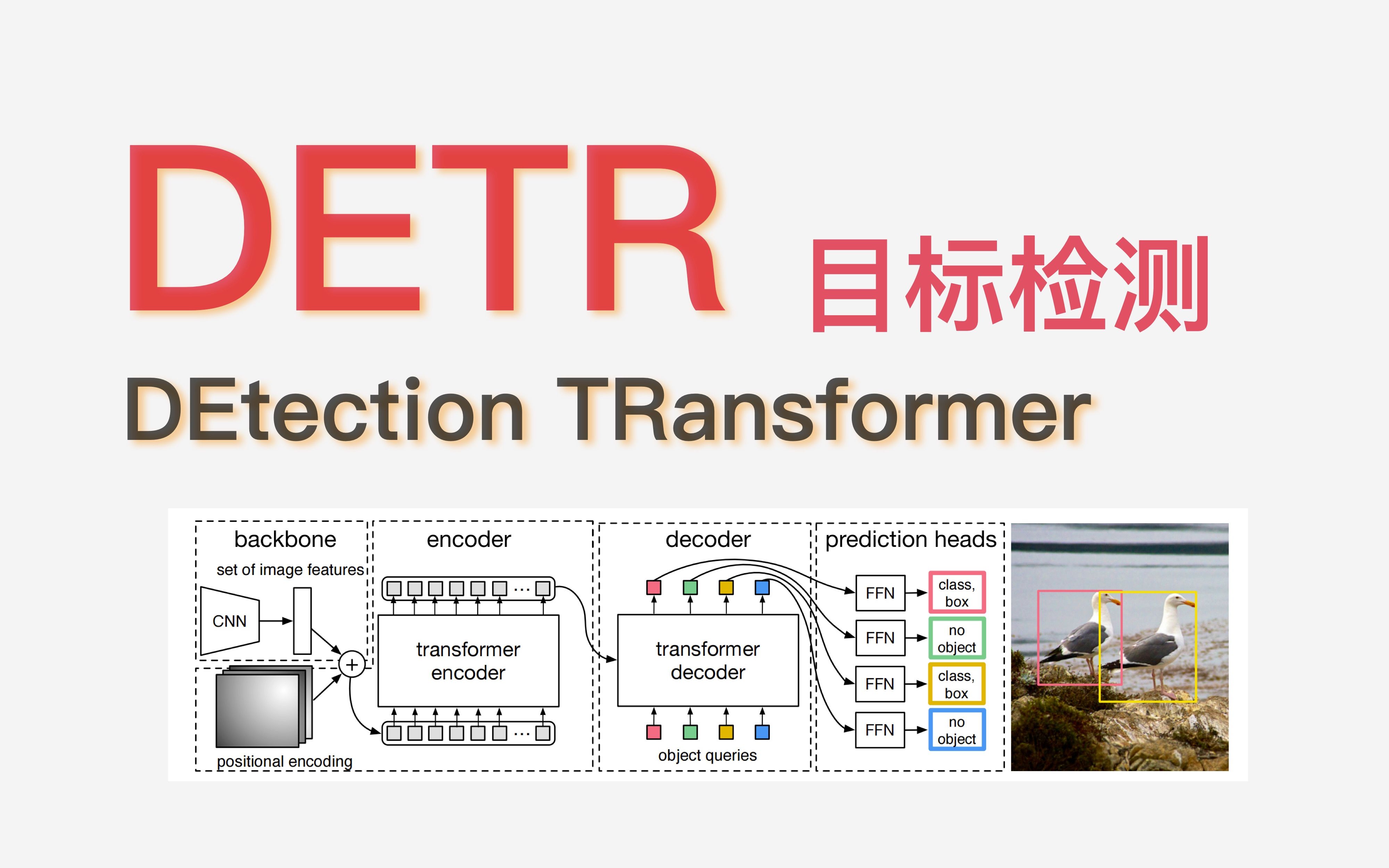 DETR 模型结构讲解 - 视频下载 Video Downloader