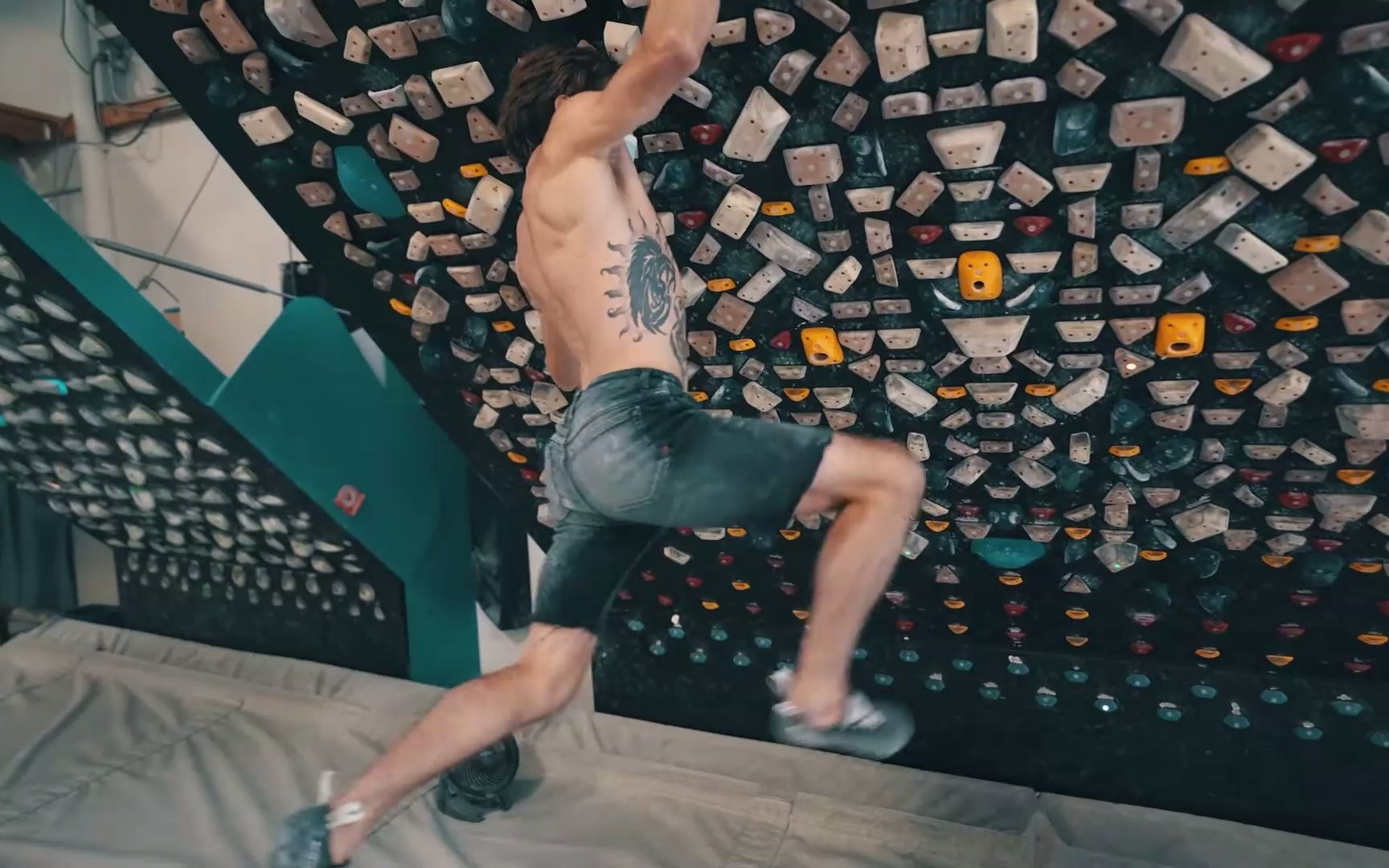 [攀岩|抱石] Daniel Woods signature board from Menagerie Climbing Holds_哔哩哔哩 ...