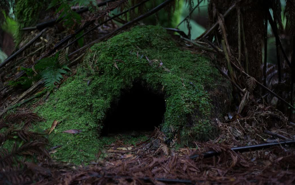 Made in Abyss -The First Layer- Arrange_哔哩哔哩_bilibili