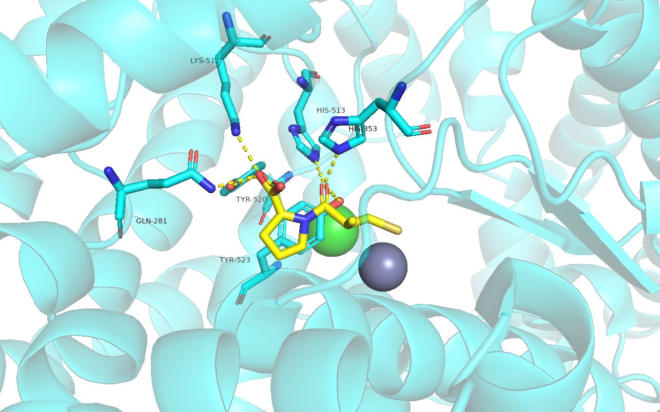 PyMol 作图-蛋白保守序列染色