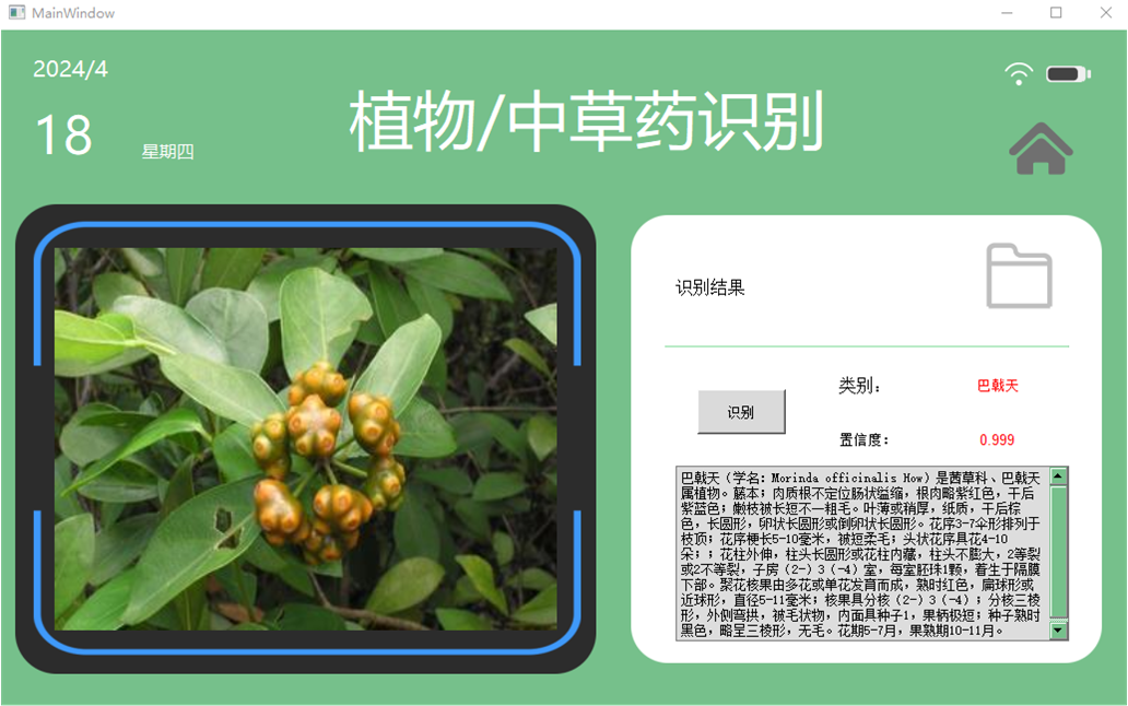 【项目分享】基于深度学习的植物中草药检测系统（含PyQt+代码+训练数据集） - 视频下载 Video Downloader