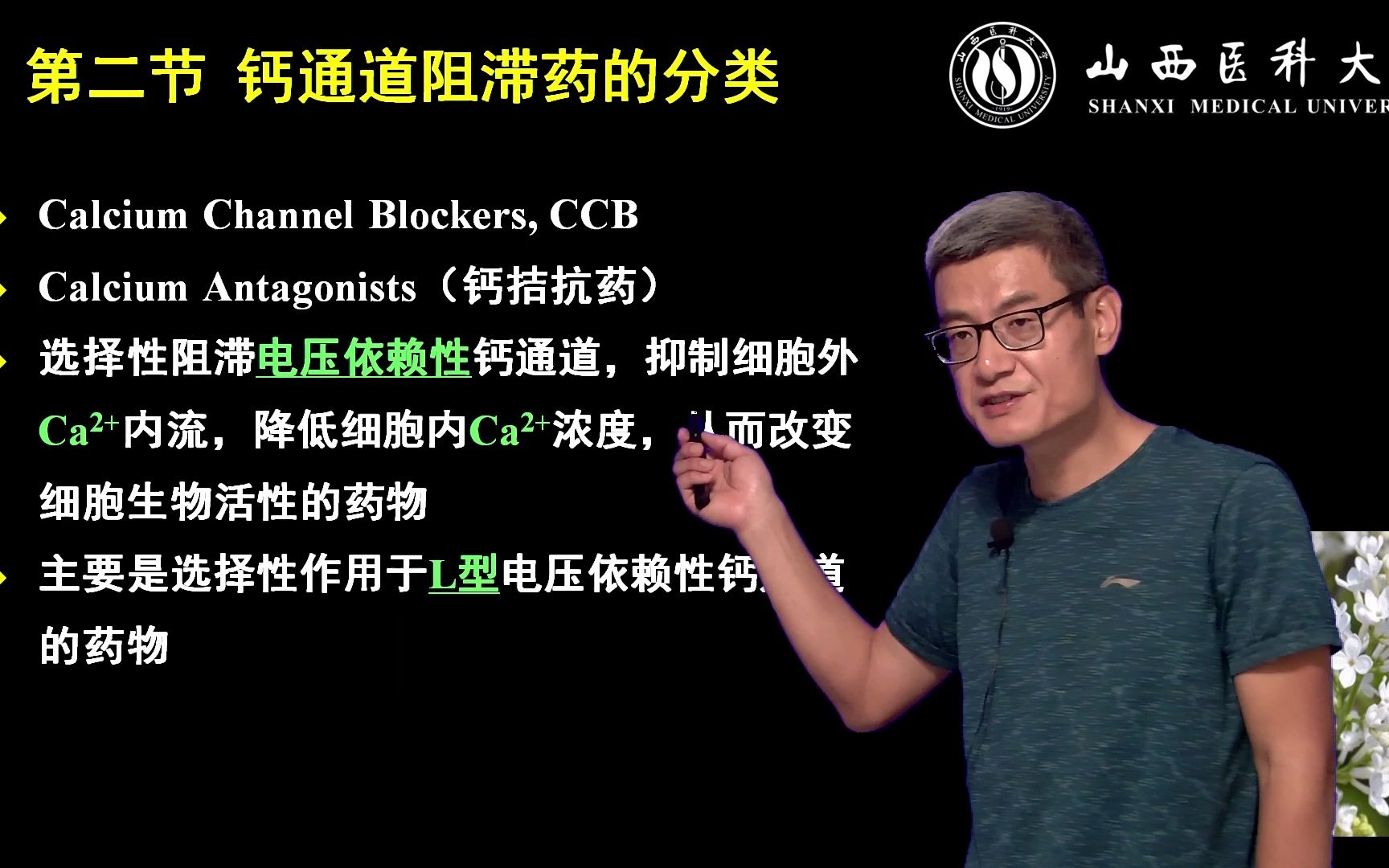 22. CCB-3-分类及作用机制_哔哩哔哩_bilibili