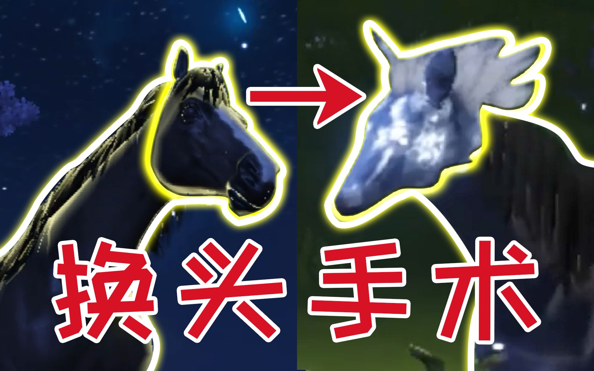 《换 头 手 术》-Windy枫本体-Windy枫本体-哔哩哔哩视频