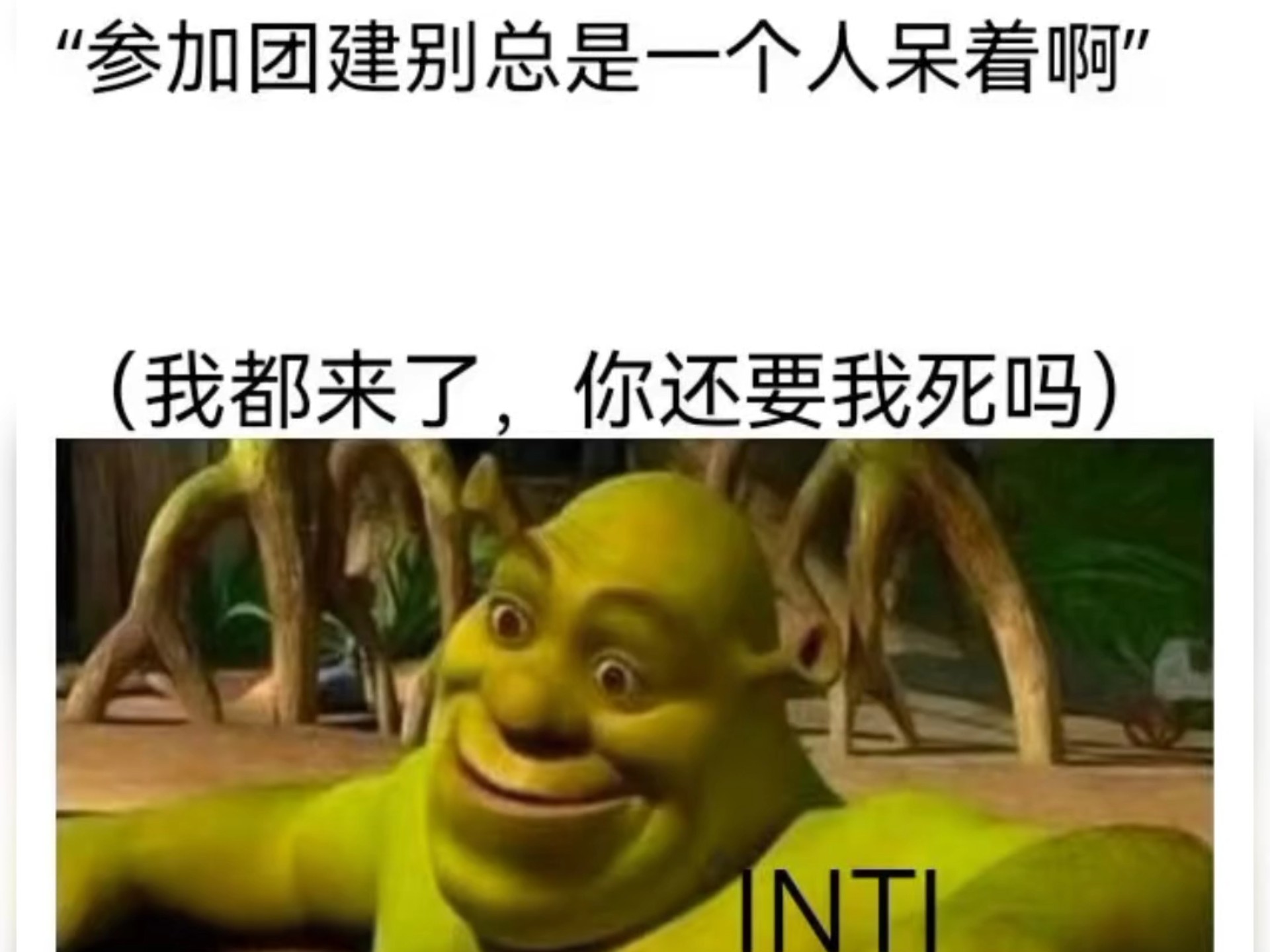 intj梗图-存小方-存小方-哔哩哔哩视频