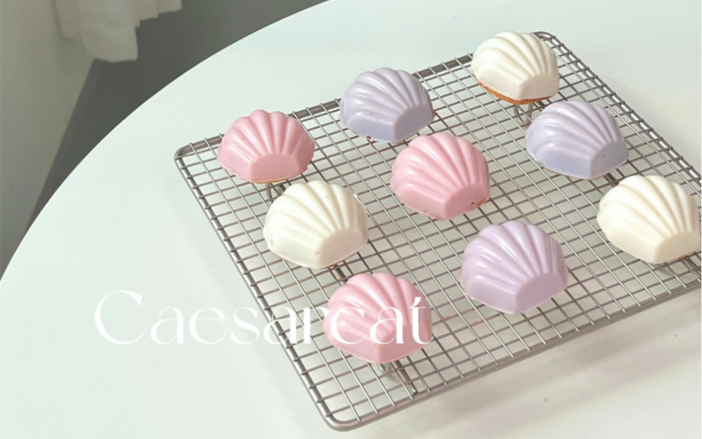 这竟然是给宠物吃的东西！！-Caesar-Cat-Caesar-Cat-哔哩哔哩视频