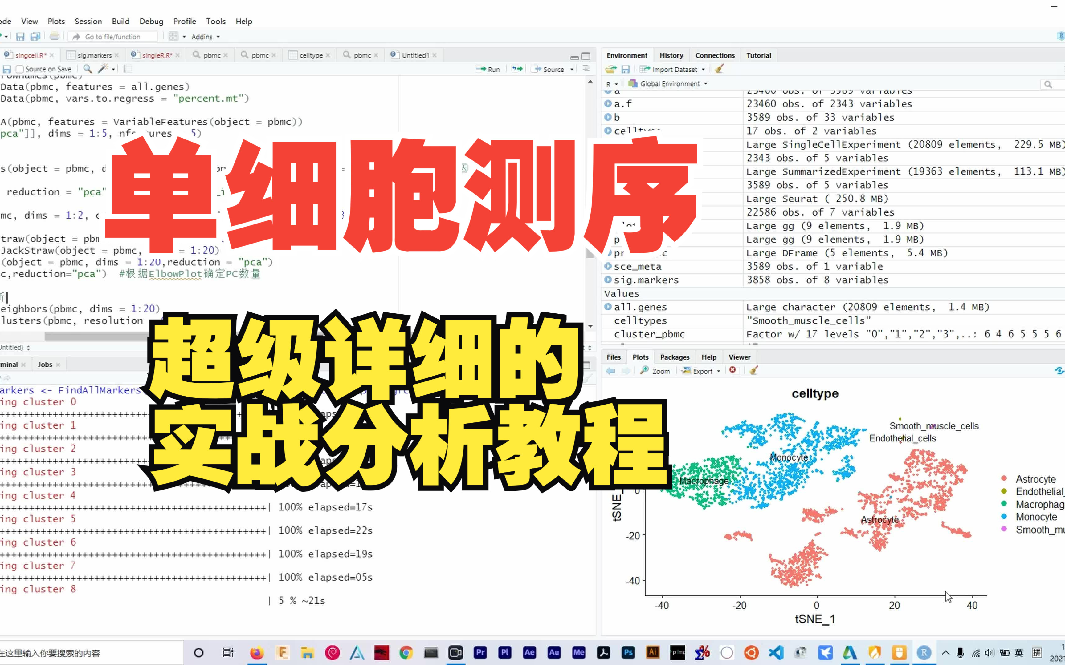 手把手教你单细胞测序分析实战-R+Python全程实战-Crisz--生信技术-哔哩哔哩视频