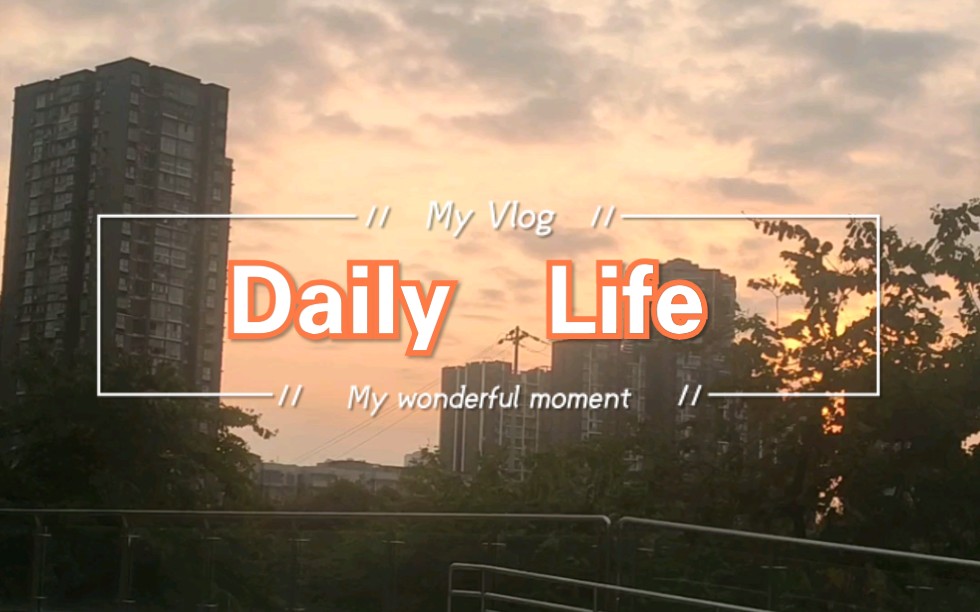 Daily life_哔哩哔哩_bilibili