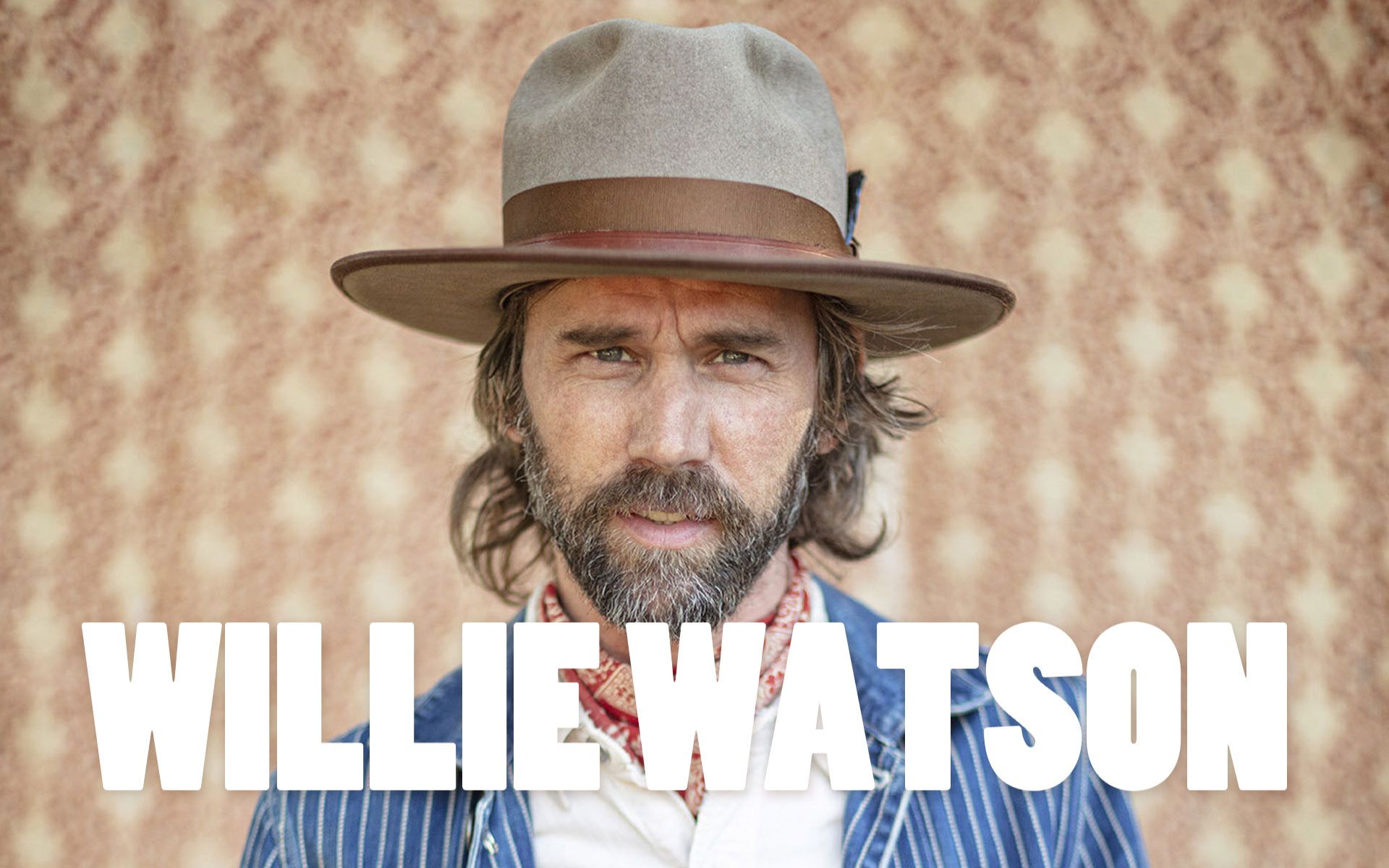 Willie Watson Collection_哔哩哔哩_bilibili
