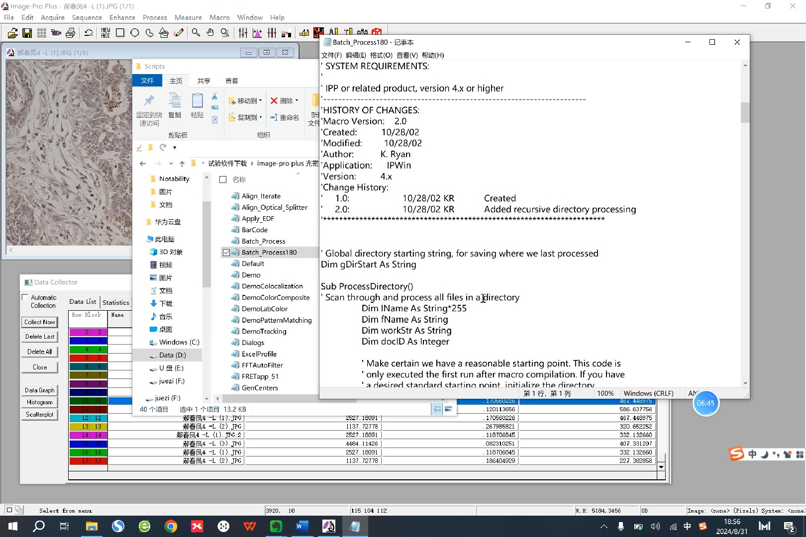 image pro plus 分析免疫组化光密度值（宏编程）-更正和补充（IPP系列-5）-eujuyil-eujuyil-哔哩哔哩视频