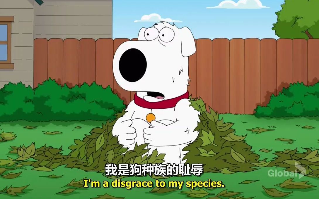 惨遭放逐的Brian_哔哩哔哩_bilibili