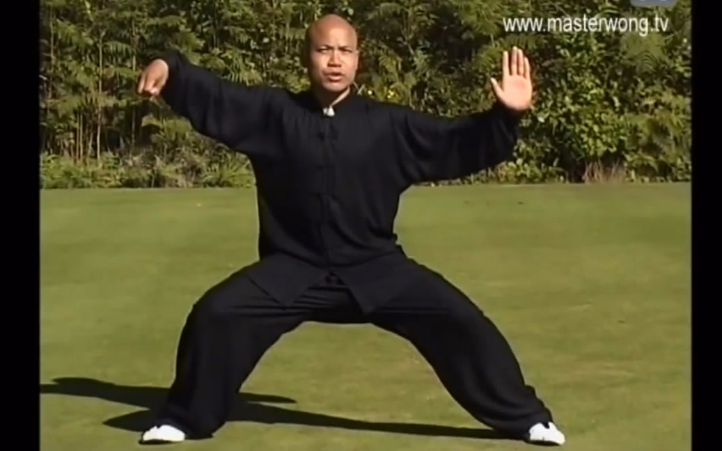 【Master Wong】陈氏太极拳教学（9集全）_哔哩哔哩 (゜-゜)つロ 干杯~-bilibili