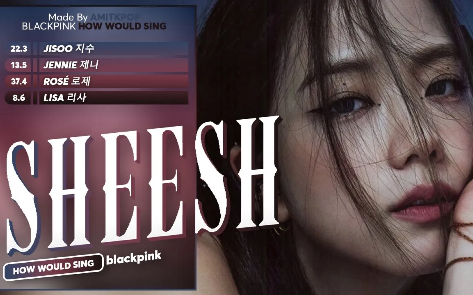 Rosé 朴彩英 翻唱歌曲合集 |Rose cover playlist-懒人大赛金奖得主-音乐-哔哩哔哩视频