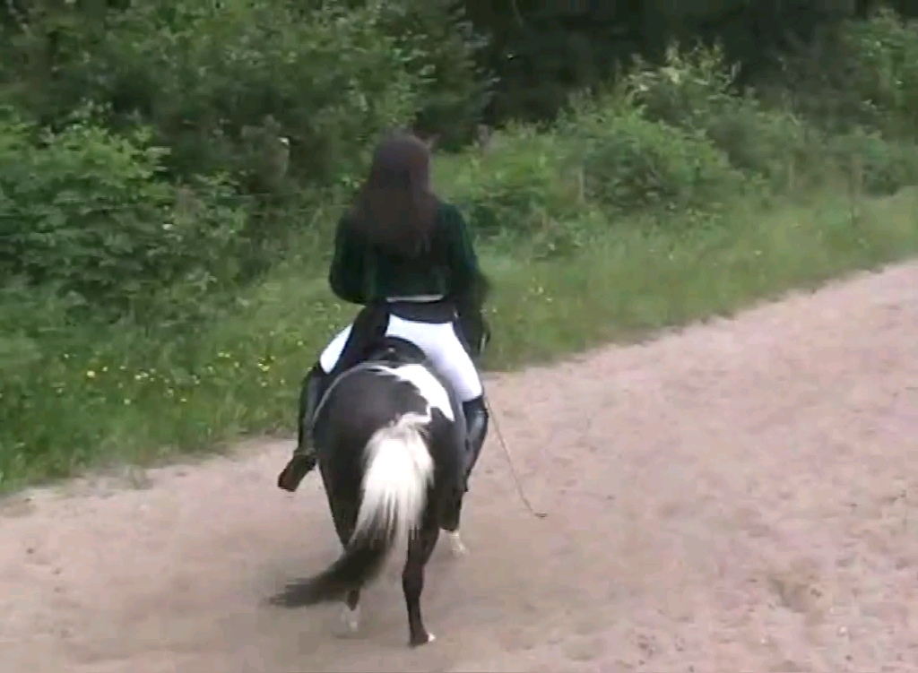 CL8565骑马（狠驯马）