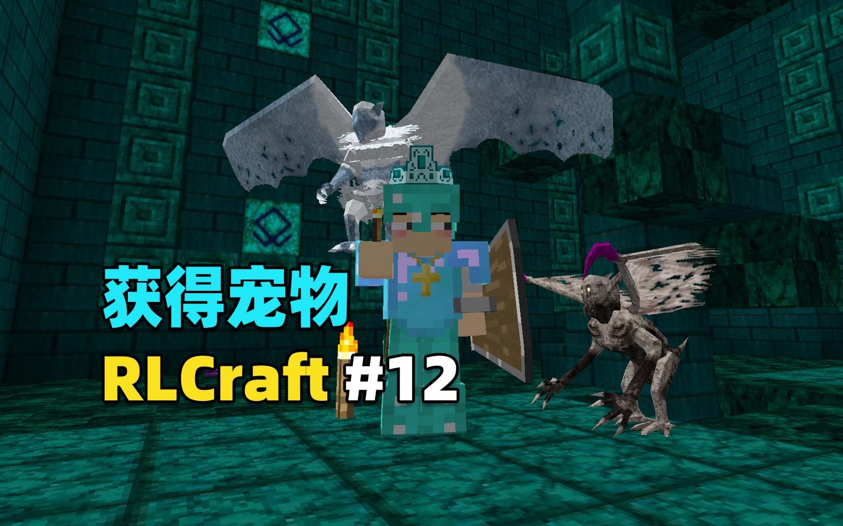 我的世界RLCraft生存12：发现恐怖生物地牢，获得三只宠物！-灰机咕咕-灰机咕咕-哔哩哔哩视频