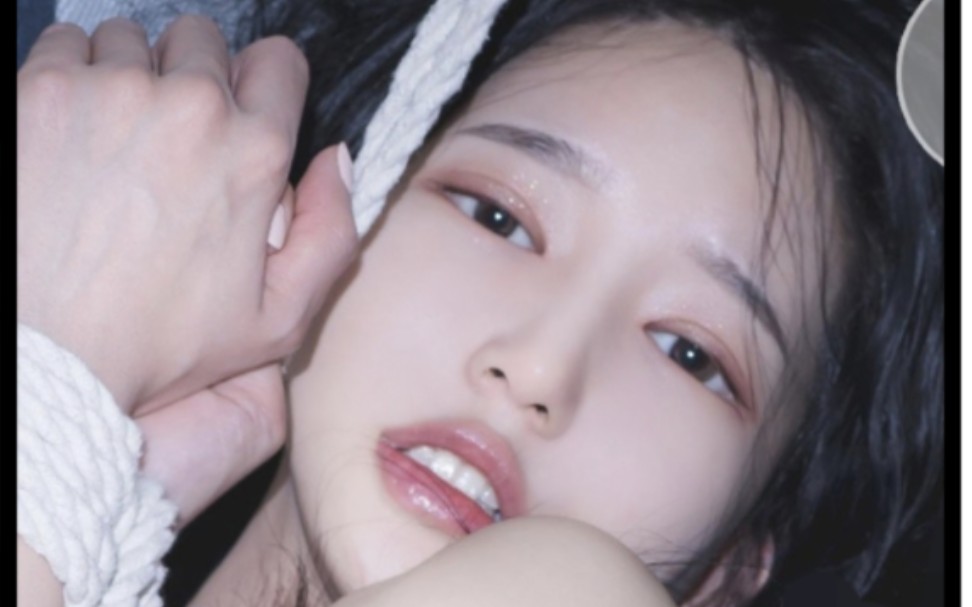 Pure Media Yeha 219 - 视频下载 Video Downloader