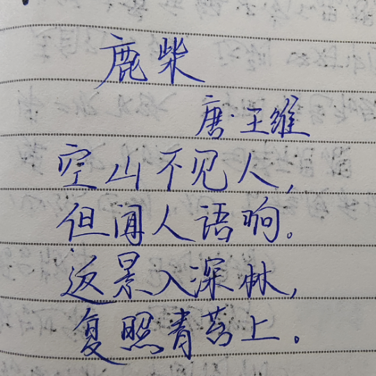 dzpd（5）-_既明_-播放量-哔哩哔哩视频